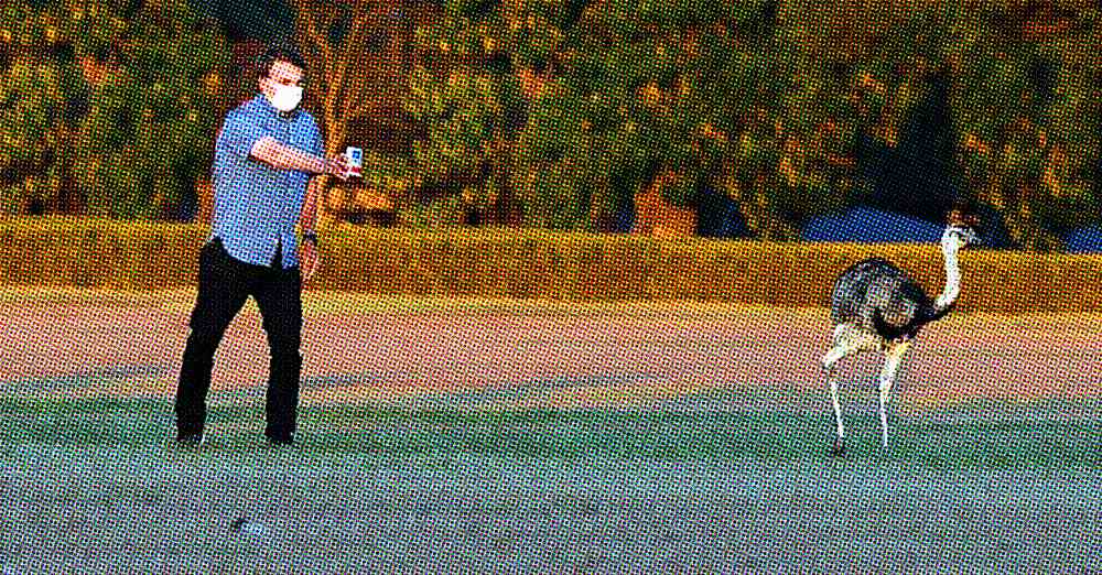 Bolsonaro faz propaganda da cloroquina até com ema e presidente do Psol ...